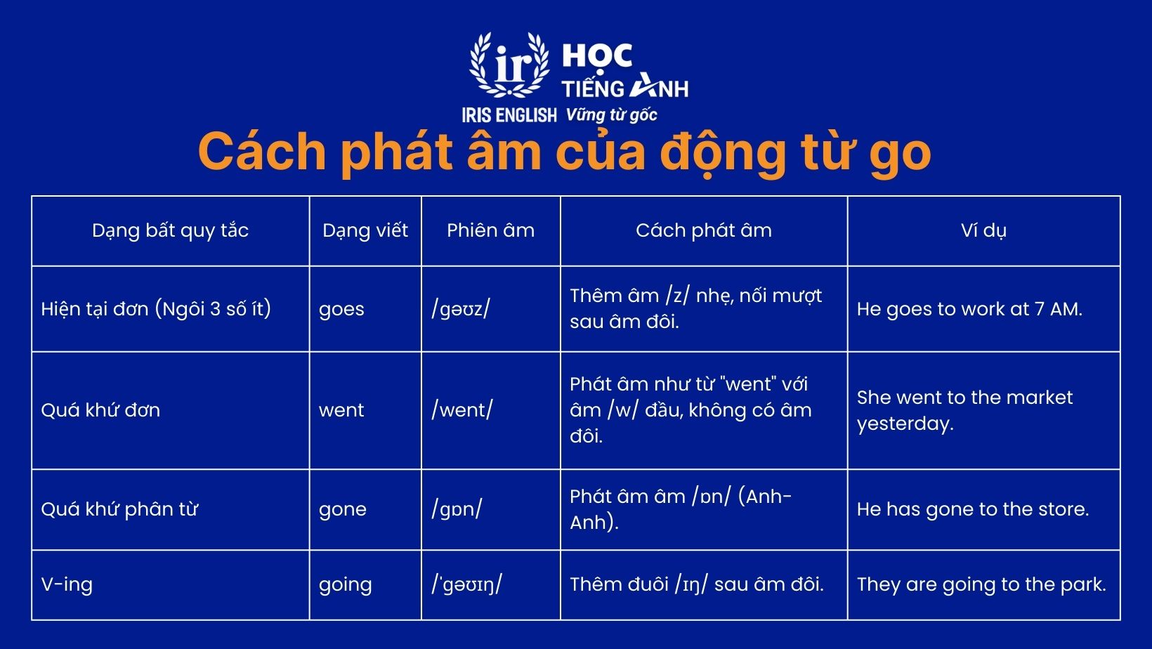 Quá khứ của go là gì? Cách chia động từ go đầy đủ, dễ hiểu nhất