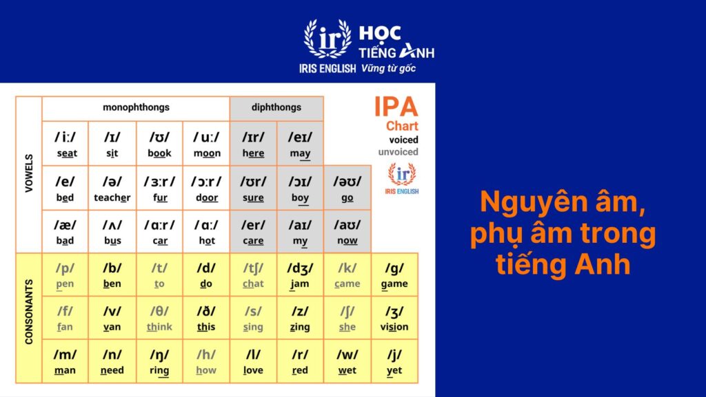Các nguyên âm đôi trong tiếng Anh: Cách phát âm, bí quyết